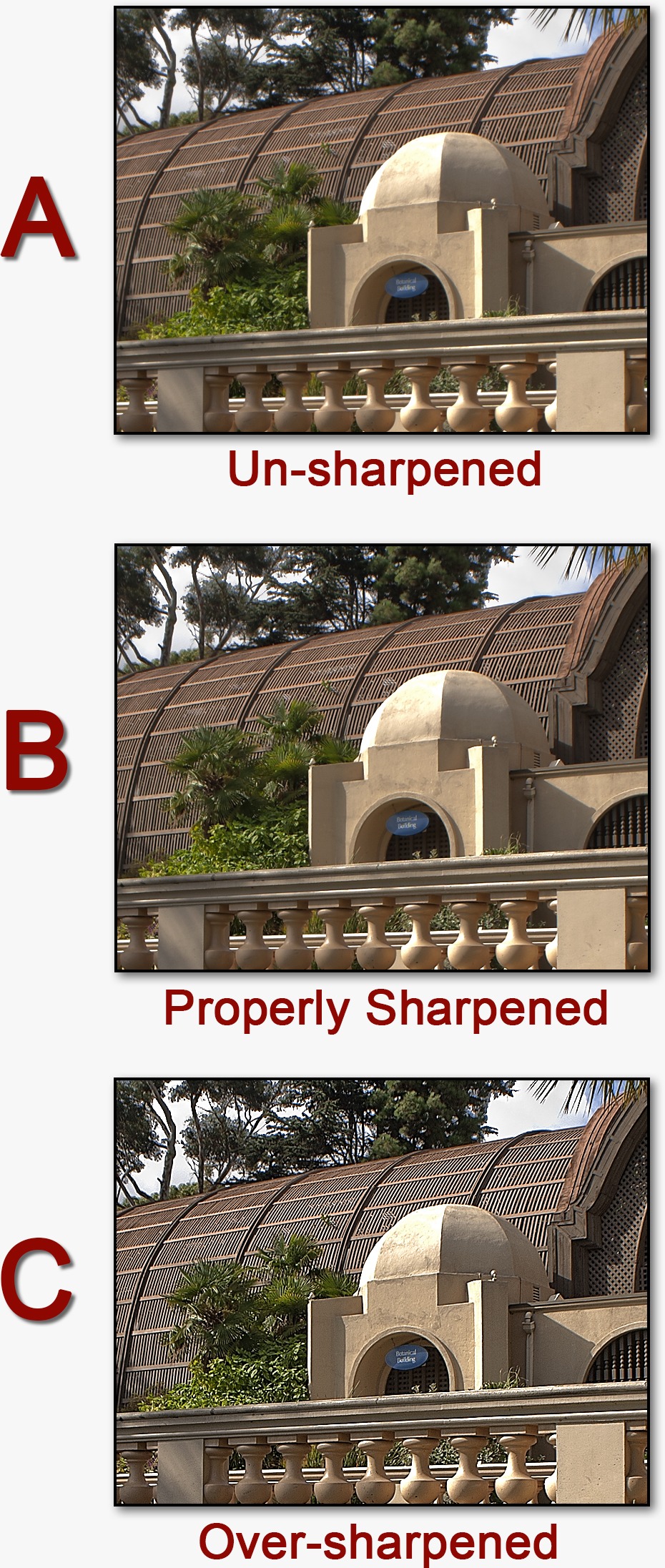 A Better Way to Sharpen your Images in Photoshop CC – Watts Digital ...