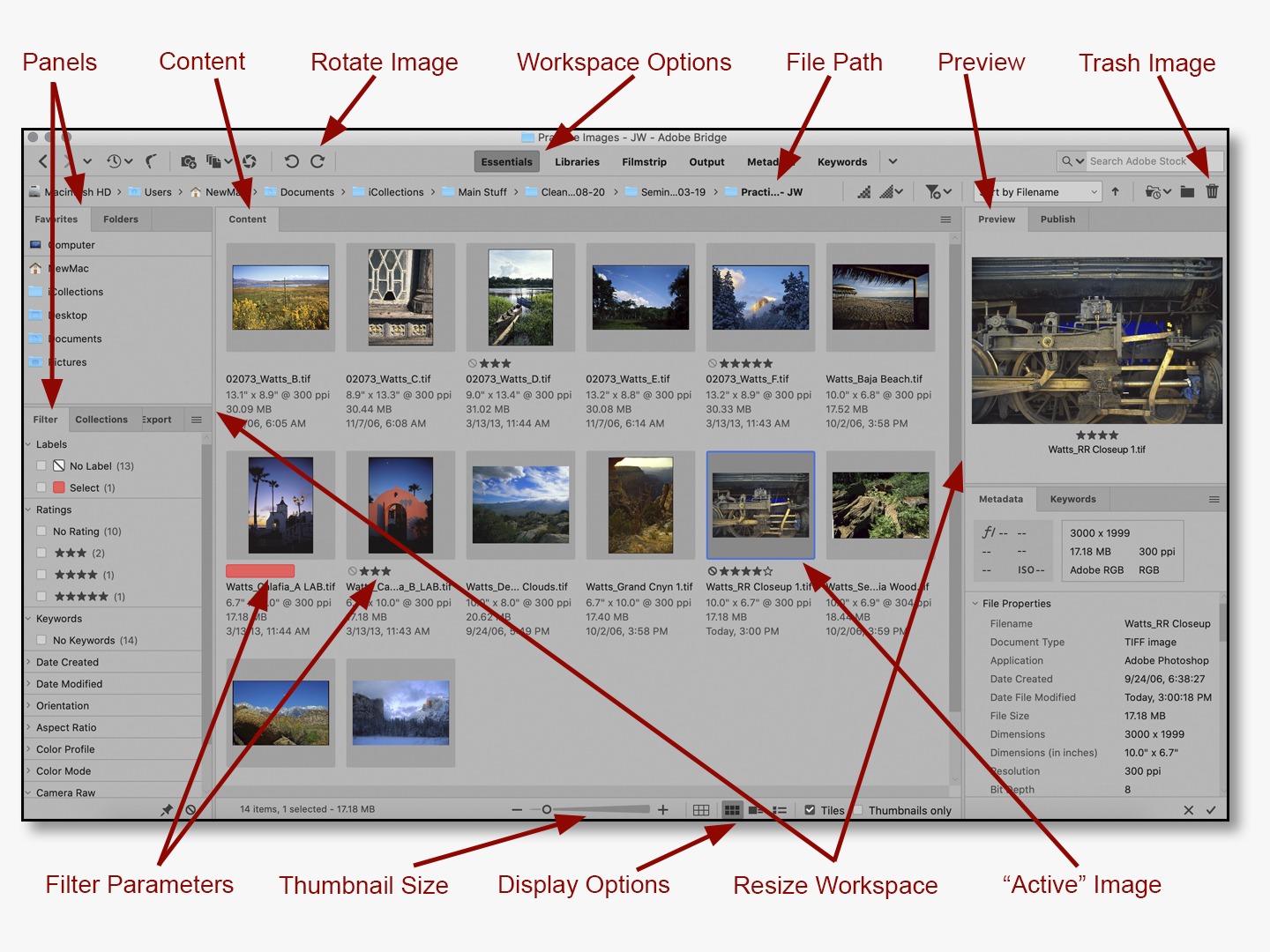 How (& why) I use Adobe Bridge - NOT Lightroom - WITH VIDEO