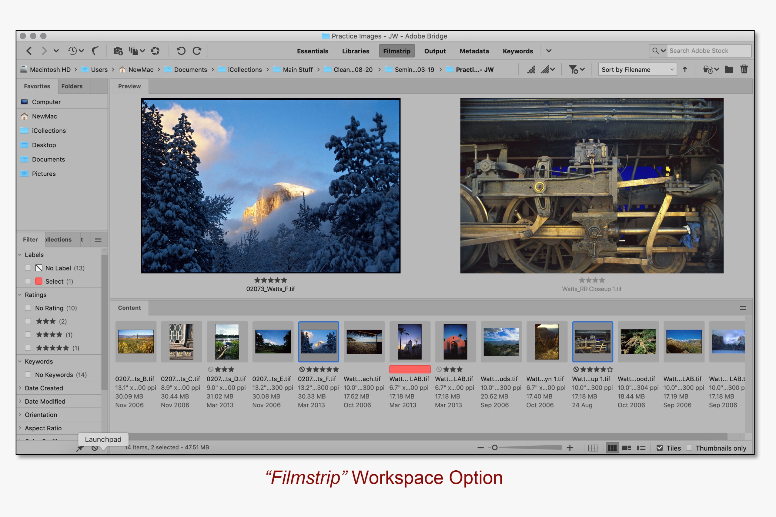 How (& why) I use Adobe Bridge • Watts Digital Imaging Blog