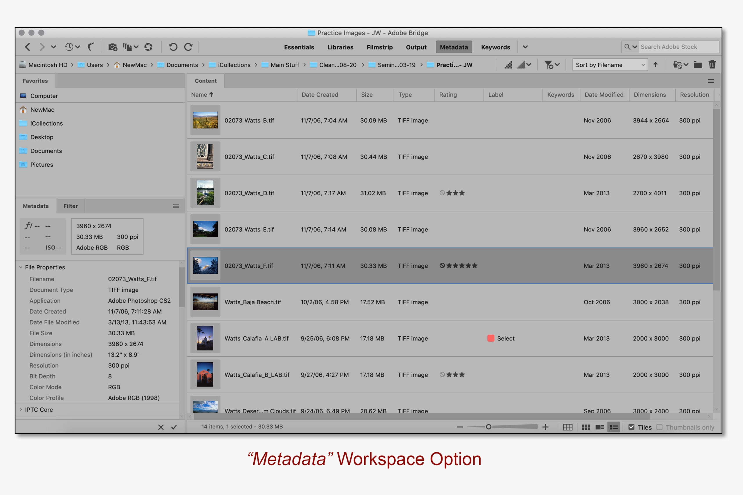 How (& why) I use Adobe Bridge - NOT Lightroom - WITH VIDEO